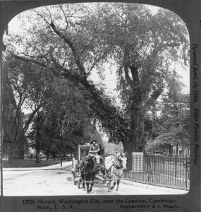 Cambridge Common Through the Ages - Historical Landmark - Silk Road ...
